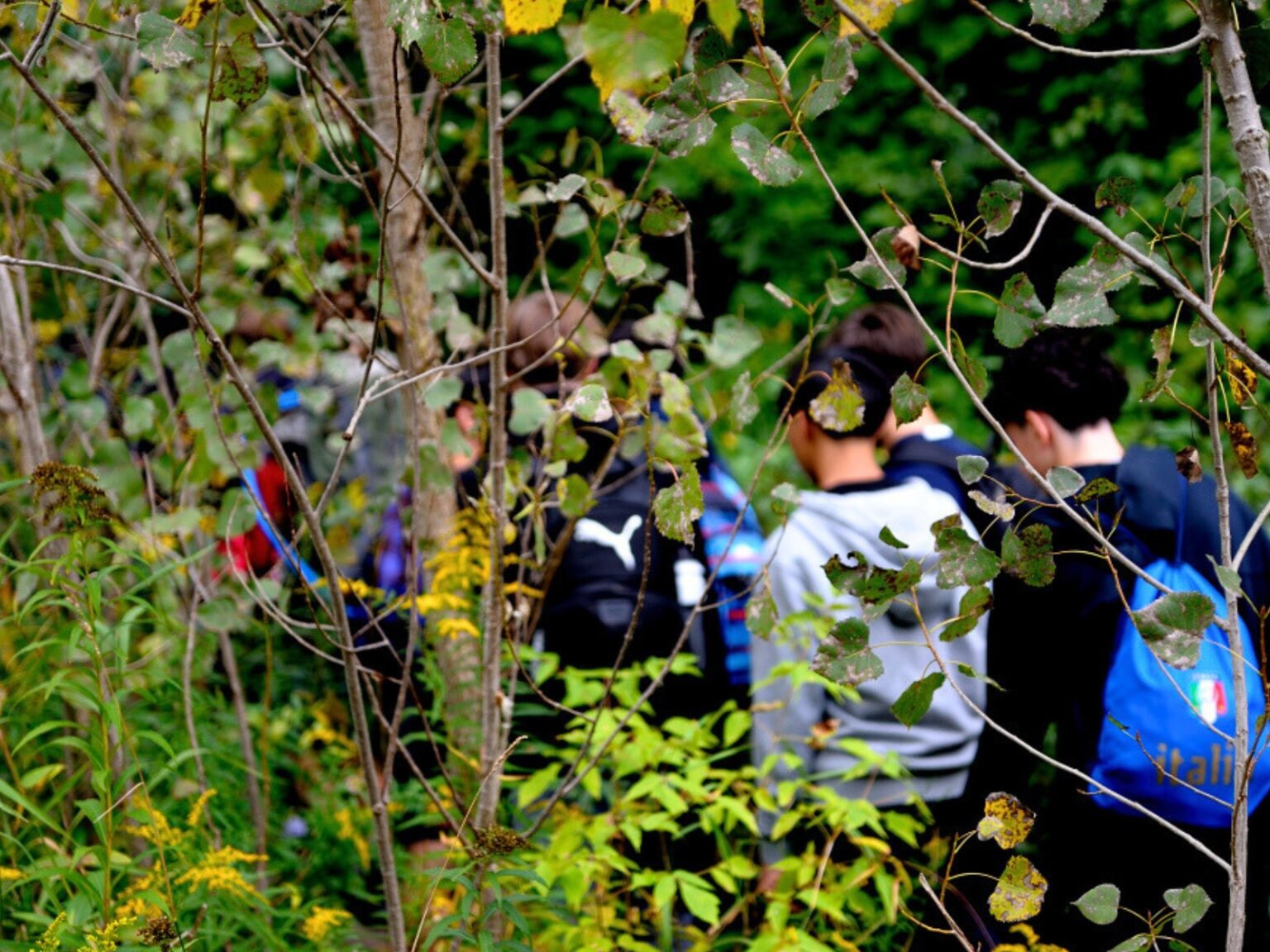 High School Credit Course: Environmental Science, Toronto | Outward ...